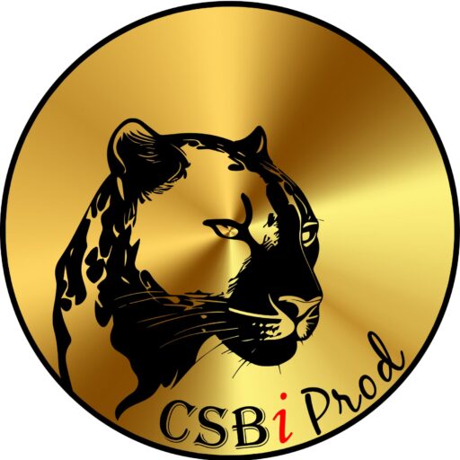 ACCUEIL - CSBI Production